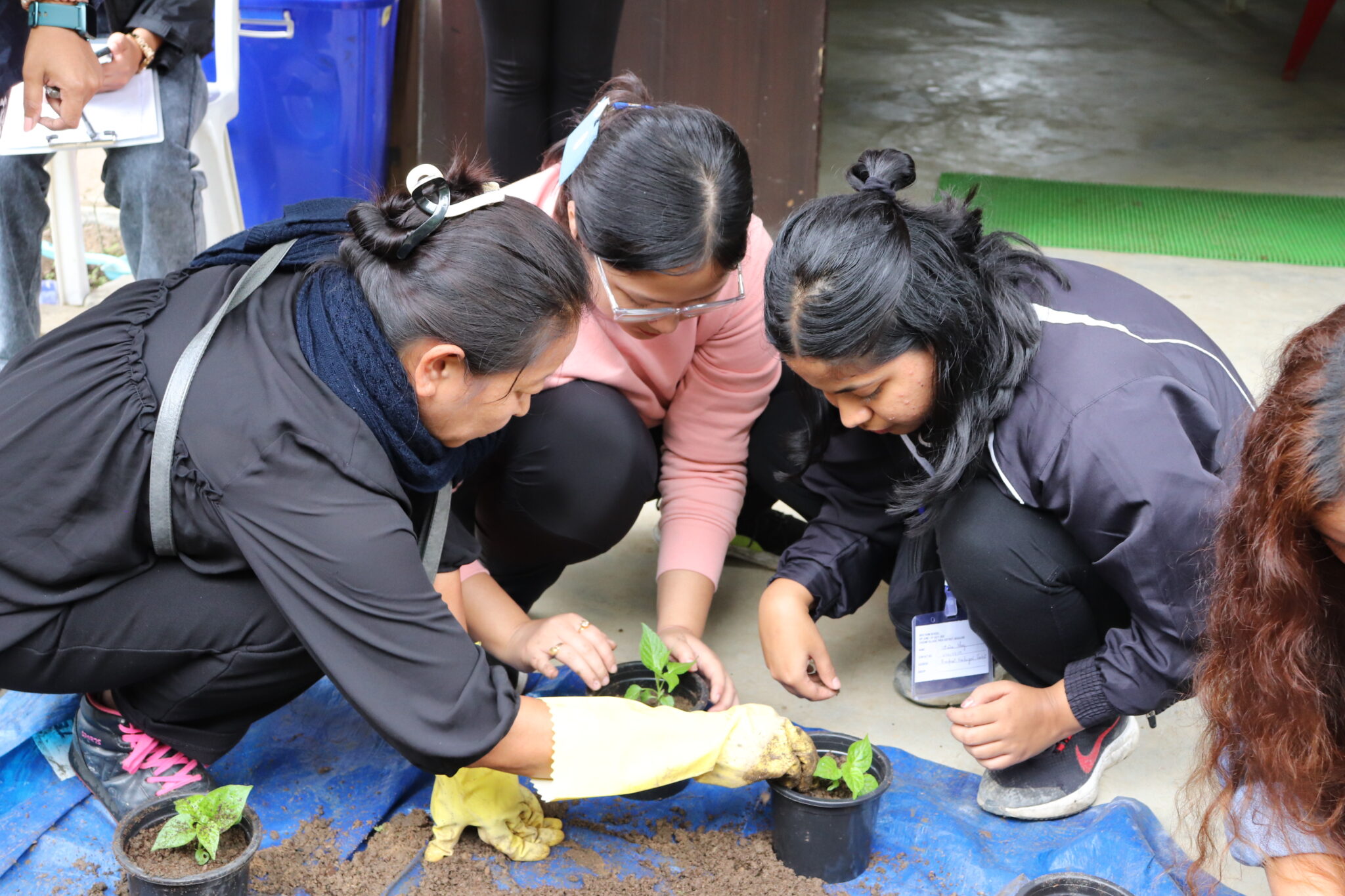 The 8th edition of NEN farm school (NFS) , Nagaland – North East Network